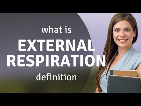 External respiration • what is EXTERNAL RESPIRATION definition