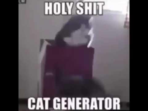 Cat generator meme