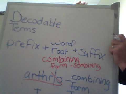 Medical Terminology An Introduction