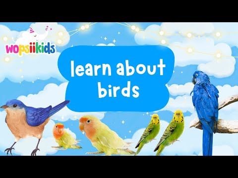 π¦ Feathered Friends: Discovering the Amazing World of Birds for Kids! πβ¨