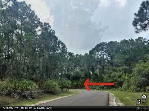 Homes for Sale - 429 SW Sayre Road, Palm Bay, FL