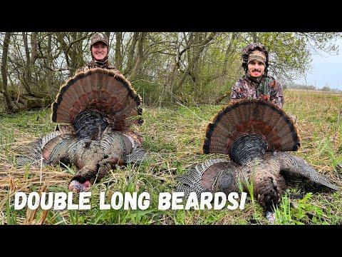 DOUBLE LONG BEARDS - Wisconsin Spring Turkey Hunting 2024