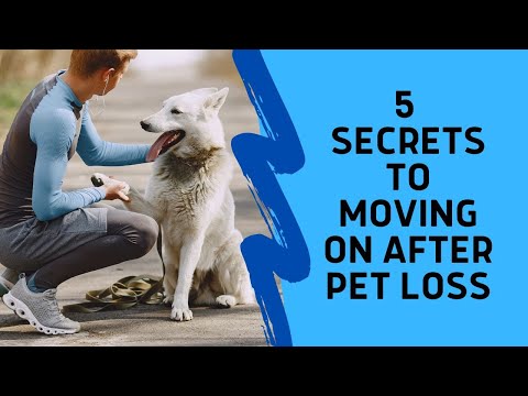 5 Secrets to finding healing after death of a pet I How to move on after pet loss