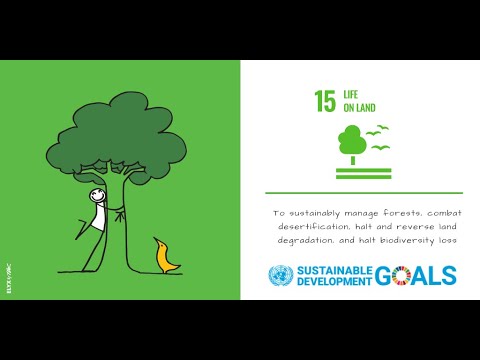 Sustainable Development Goal 15 (SDG15) - Life on Land by Articulating Science