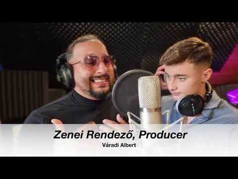 AKG C12 clone, Tim Campbell CT12 capsule, Haufe T14/1, GE6072 | Reverb