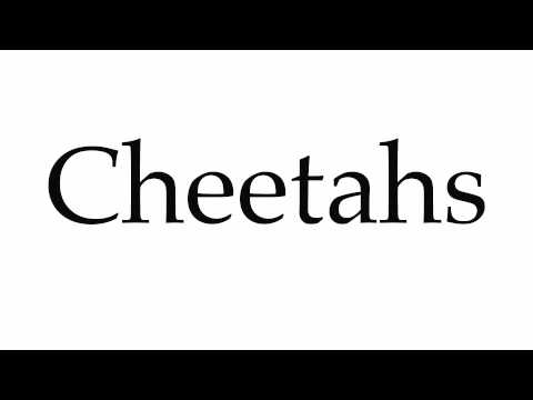 How to Pronounce Cheetahs