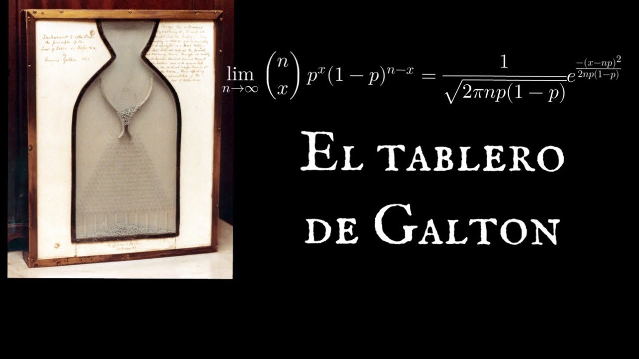 Galton's board / The central limit theorem