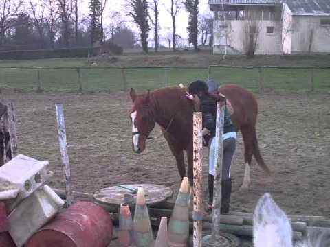 Comment monter et descendre d'un cheval ? La réponse est sur Admicile.fr