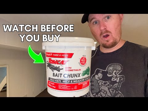Best Pest Control for Rats and Mice: Tomcat Bait Chunx Reviewed