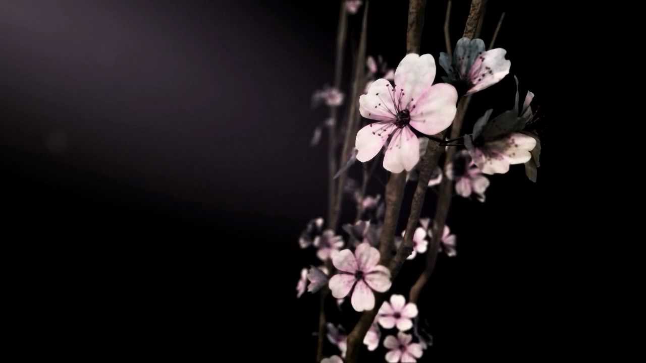 Cherry Branch Animation Breakdown