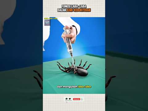 Fungsi Laba-laba dalam ilmu kedokteran