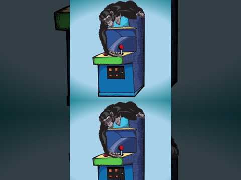 Watch Animalogic season 1 episode 340 streaming