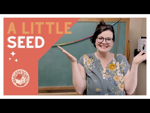 A Little Seed Hand Rhyme - THNS: Spring, Week 1: Seeds & Sprouts