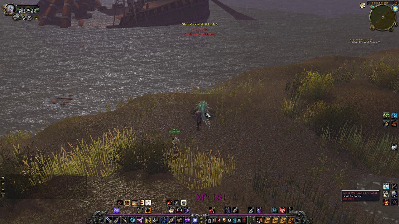 Apprentice's Duties WoW Classic Quest