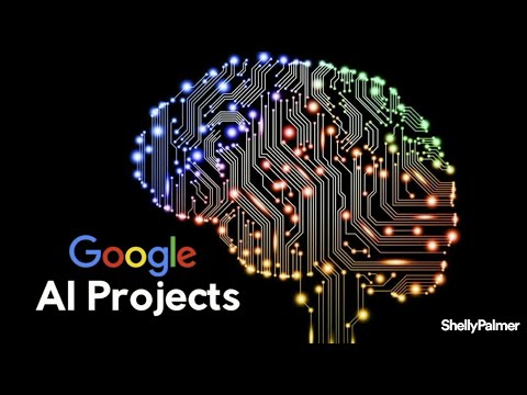 AI Bias Explained by Google at the Shelly Palmer Innovation Series Summit at CES 2020
