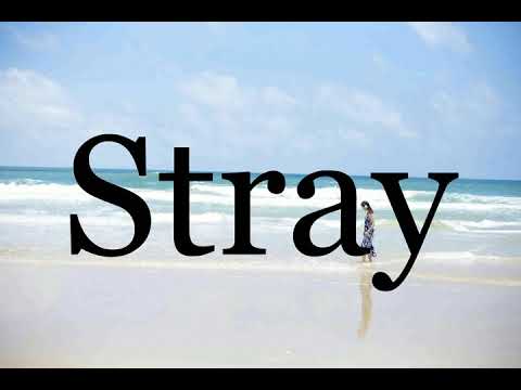 How To Pronounce Stray🌈🌈🌈🌈🌈🌈Pronunciation Of Stray