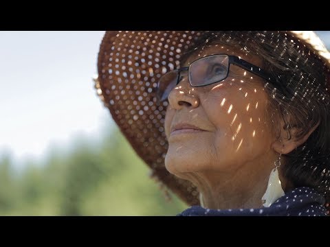 Meander: Restoring Wildboy Creek