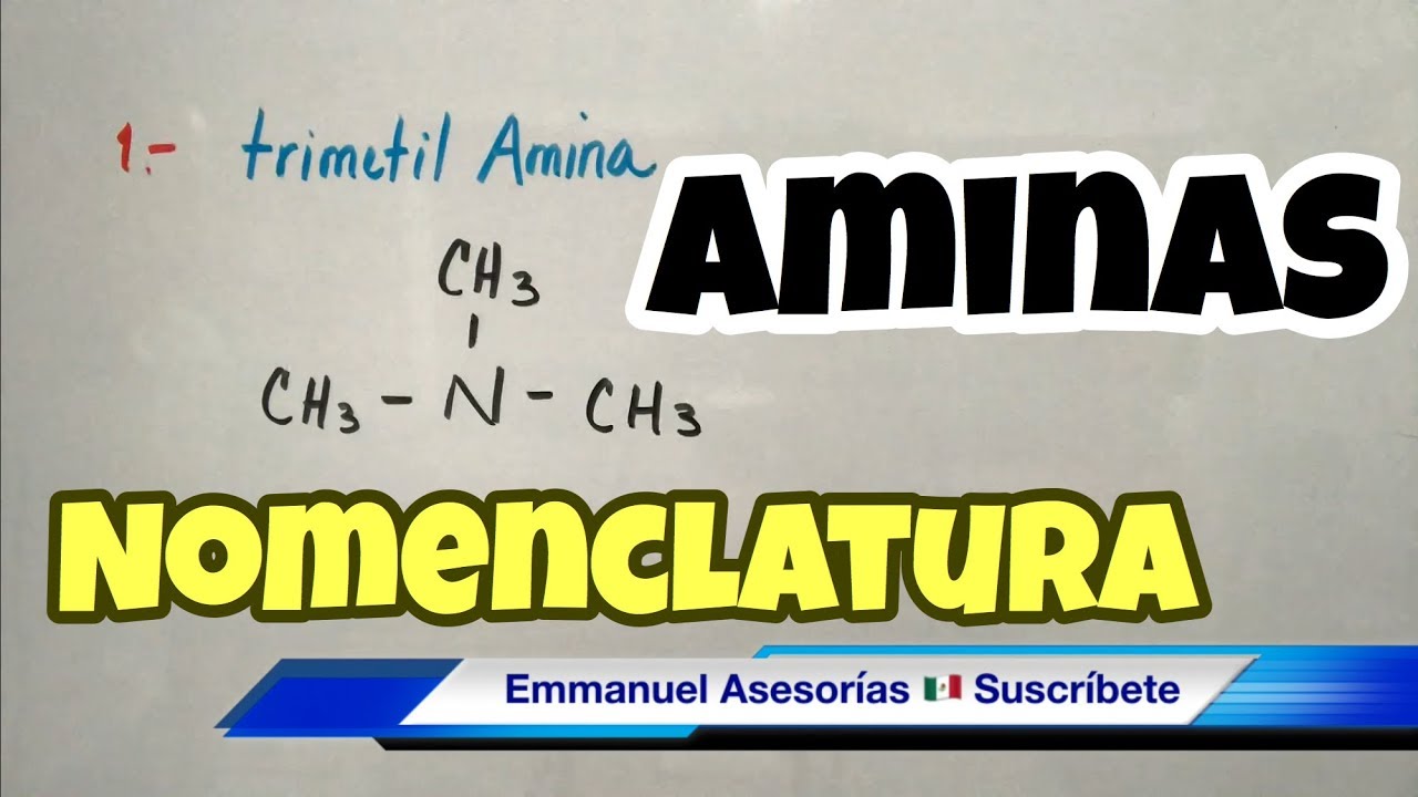 Nomenclature of AMINES (super fast)