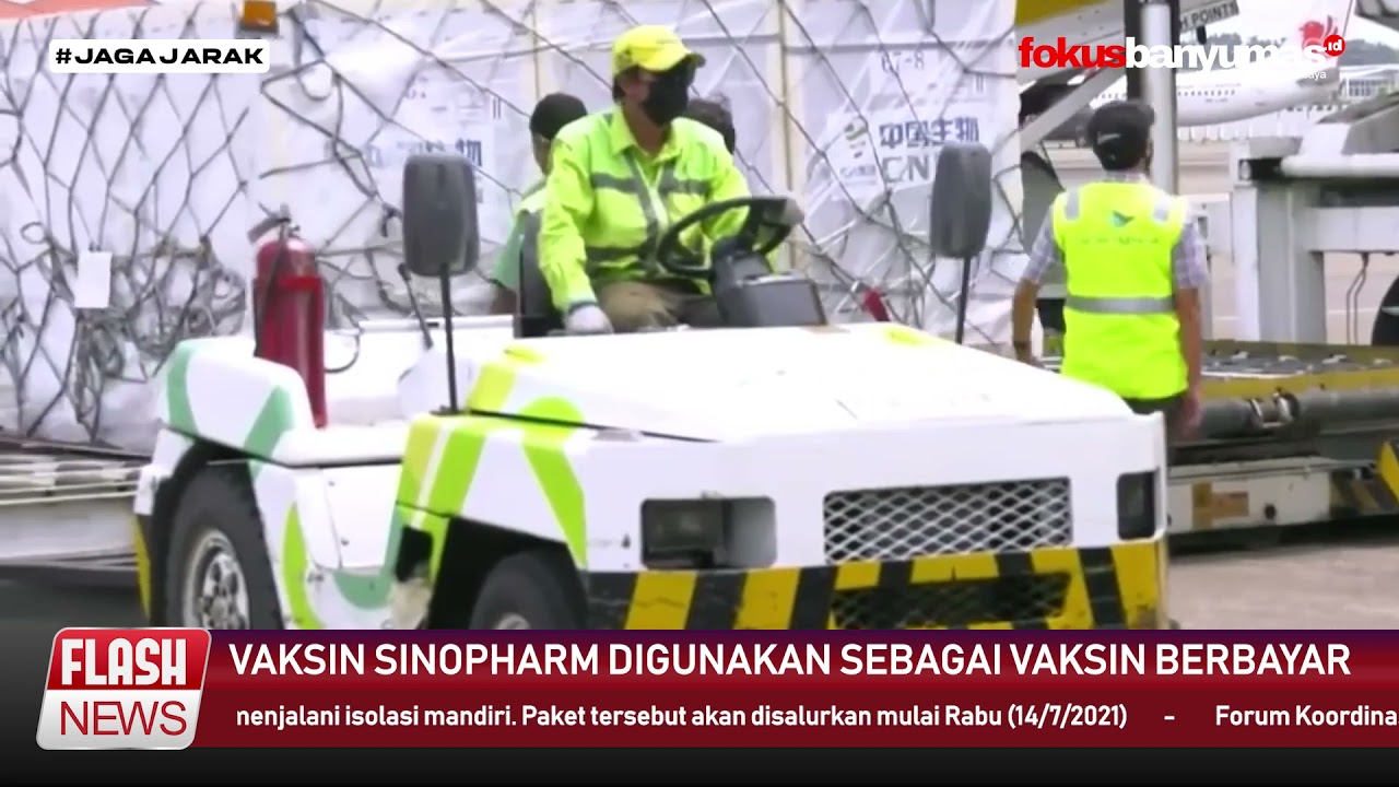 Fakta Seputar Vaksin Sinopharm Yang Akan Gigunakan sebagai Vaksin Berbayar