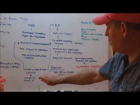 What You Need to Know about MBD