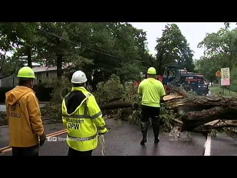 News 4 New York: "The Now" Fall Weather