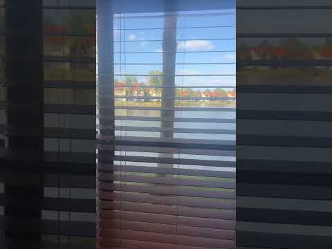 Condo For Rent in West Palm Beach
