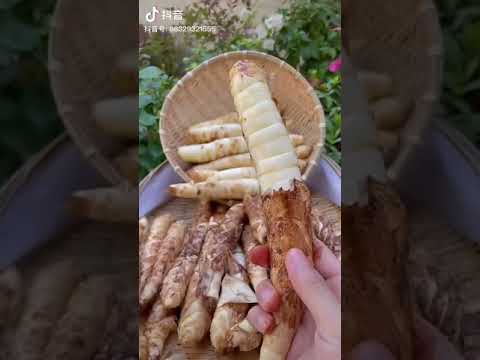 arrowroot powder #arrowroot #shortvideo