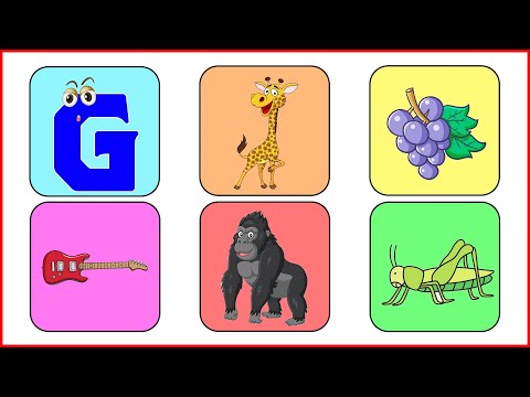 Words From G | 5 Words From The Letter G | Educational Videos | Preschool Learning