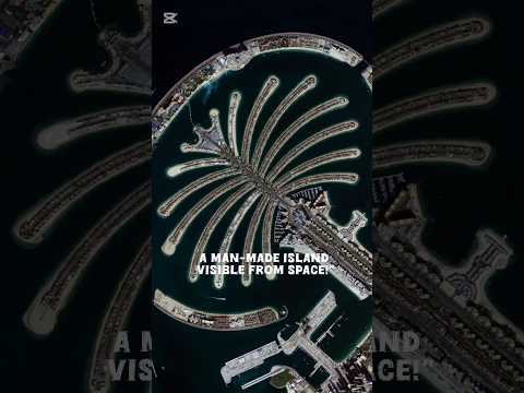 "Dubai’s Palm Island Was Made Like THIS 🌴🤯"