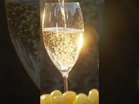 Discover the Magic of Fazeli Winery in the Heart of Temecula Wine Country 🥂✨️