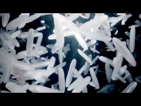 Autres – Jeremy PERRIN