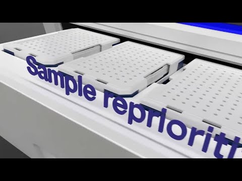 SeqStudio Flex Cinematic