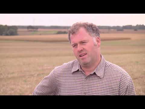 Kyleo® - Zieht bis in die Wurzelspitze (Hermann Dorfner aus Bayern)