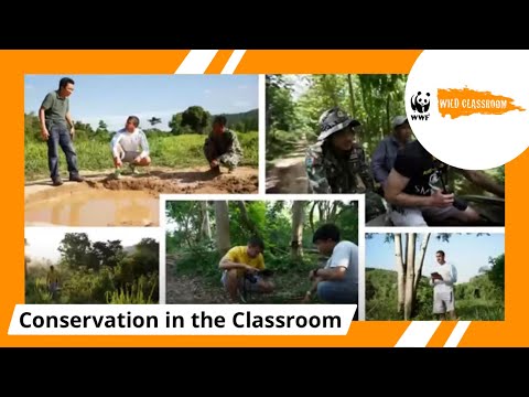 Photos & Videos | WWF