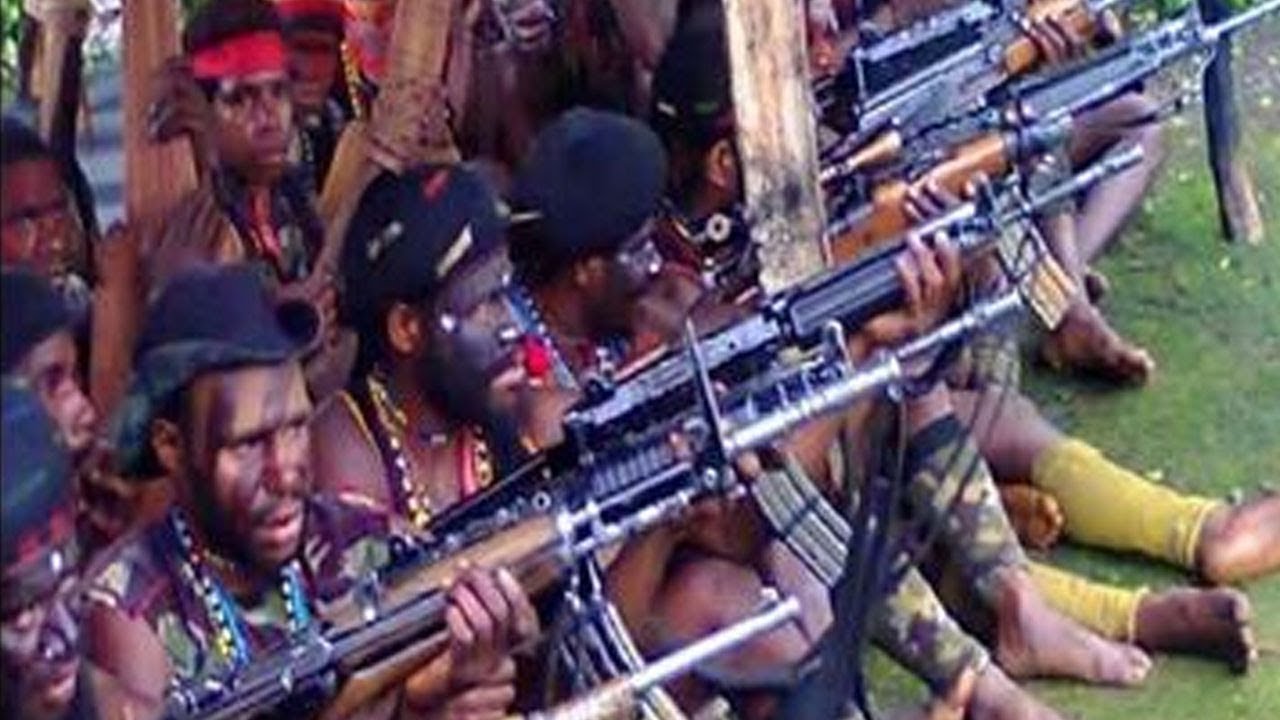 KKB Papua Berlagak Jadi Korban, TNI: Pengecut! Ditindak Malah Melolong ... KKB Papua Berlagak Jadi Korban, TNI: Pengecut! Ditindak Malah Melolong ...