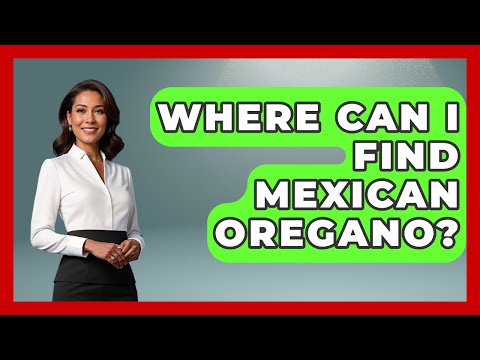 Where Can I Find Mexican Oregano? - Magical Mexico Moments