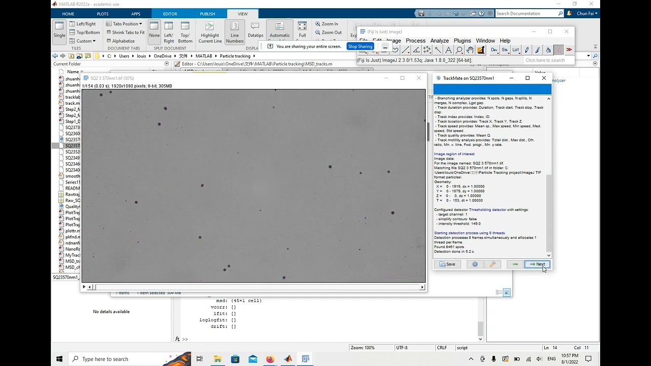 FIJI matlab particle tracking demonstration