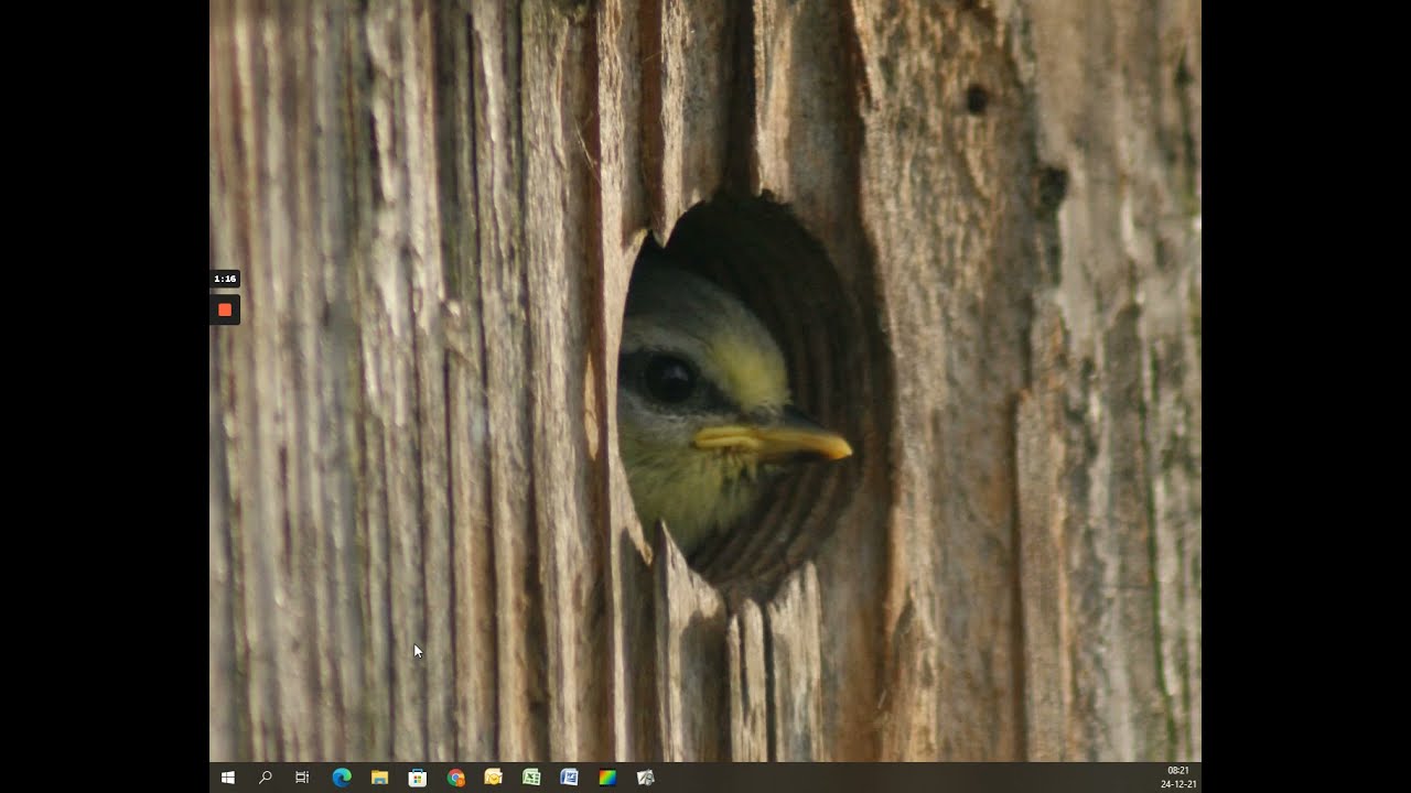 Des images gratuites et libres de droit sur Pixabay