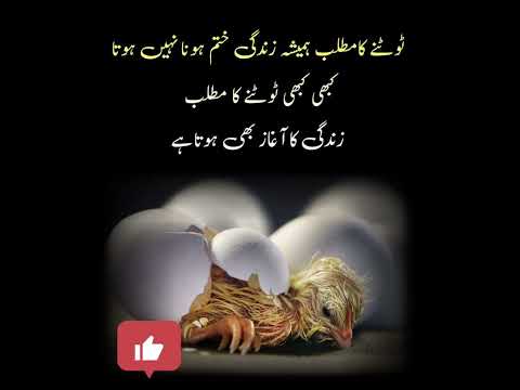 urdu quotes! deep meaning of life! urdu poetry#shorts#urdu#motivation#emotion#trending