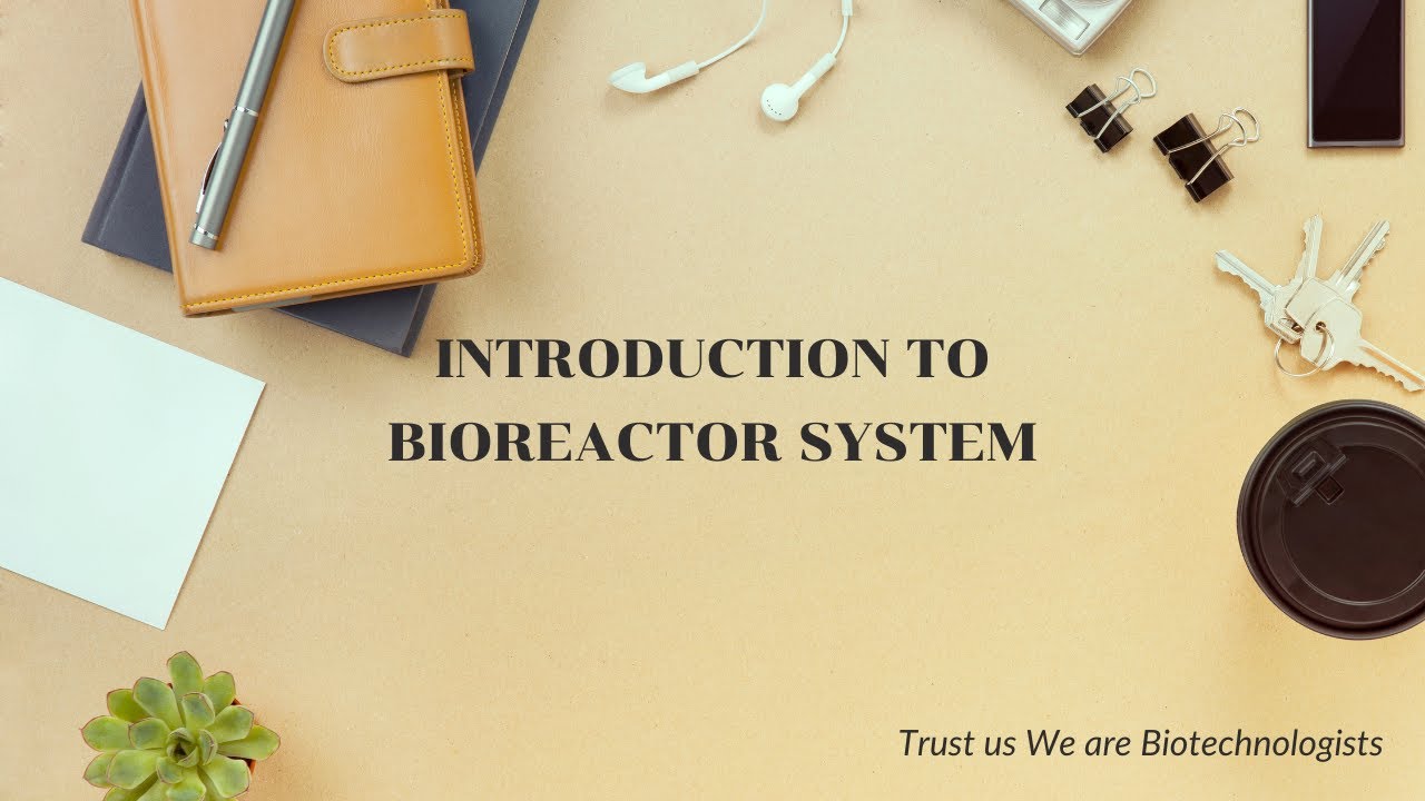 Introduction to Bioreactor System