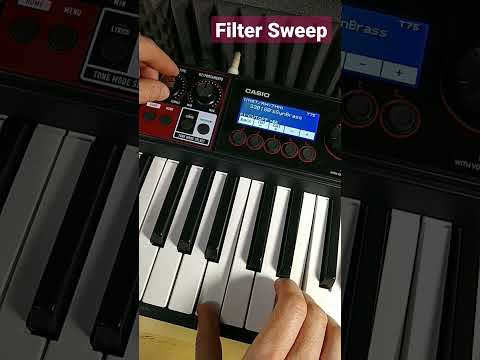 CASIO CT-S1000V: FILTER SWEEP 2