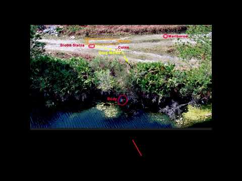 234. The Murder of Michelle Schofield Part 6 – The Prosecutors Podcast