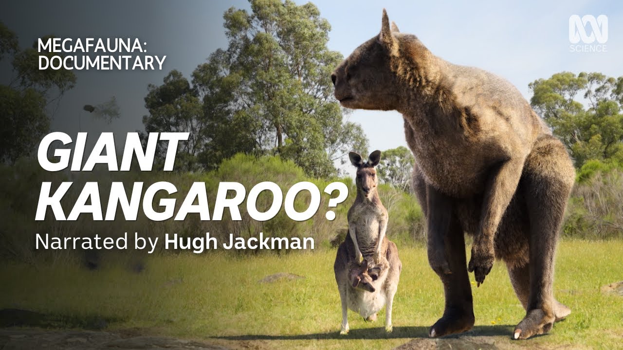 Megafauna: Did Giant Extinct Kangaroos Hop Or Walk? | DOCUMENTARY