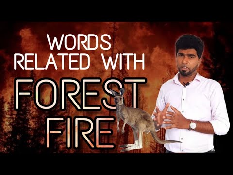 Words Related with Forest fire.