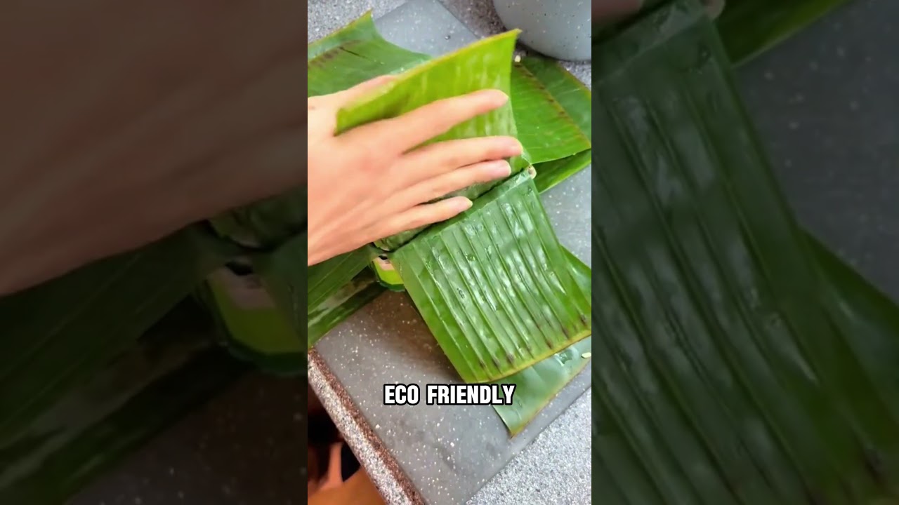 Woman’s Green Idea Leaf Wraps Wow Clients