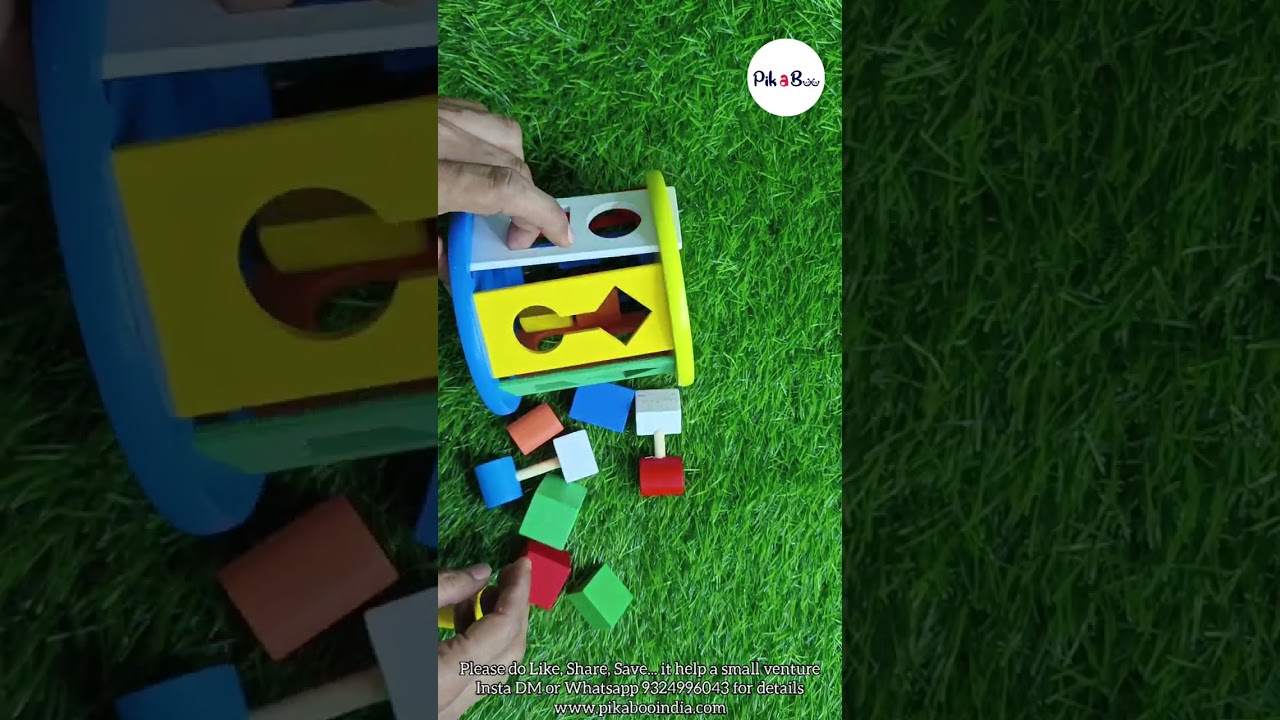 wisdom shape wheel wooden sorter