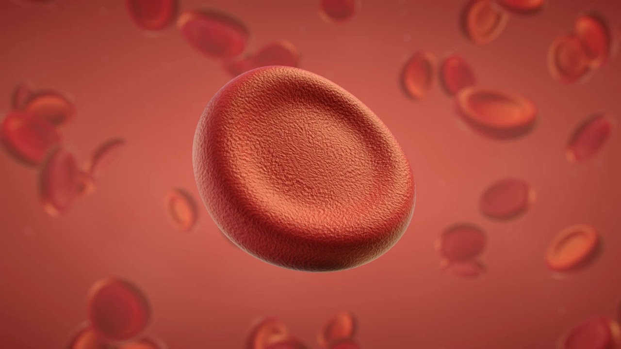 SEED -Software for the Extraction of Equations from Data