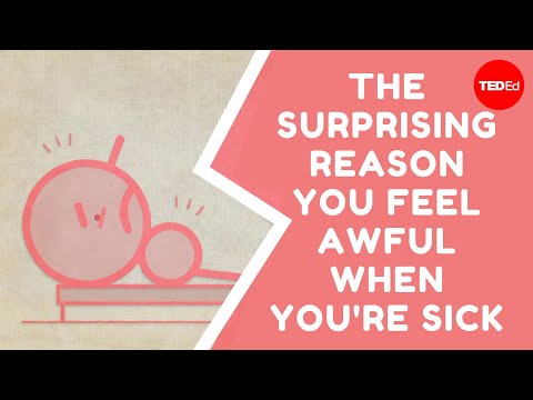The surprising reason you feel awful when you're sick - Marco A. Sotomayor