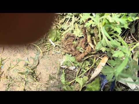 #water sound # in # deep# well#