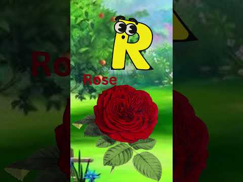 Words That Start with Letter R for Toddlers || Letter R words Vocabulary || phonics letter R
